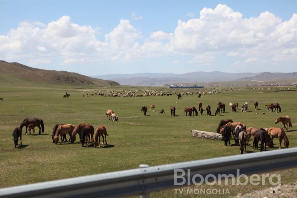 Bloomberg TV Mongolia