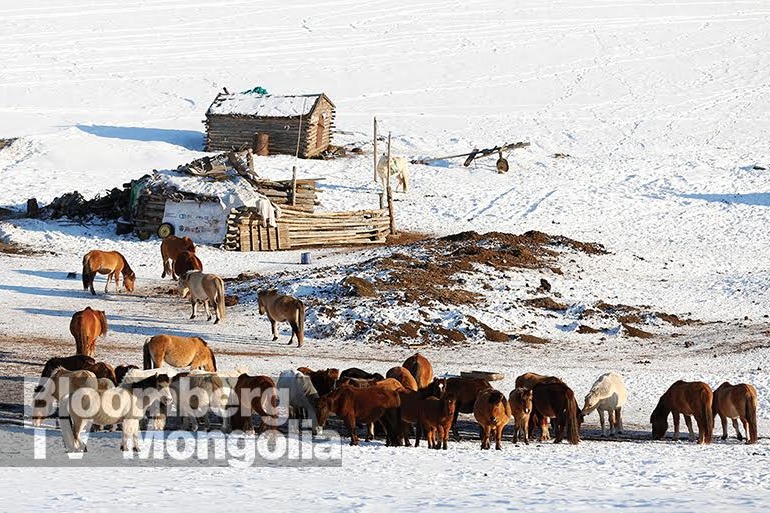 Bloomberg TV Mongolia